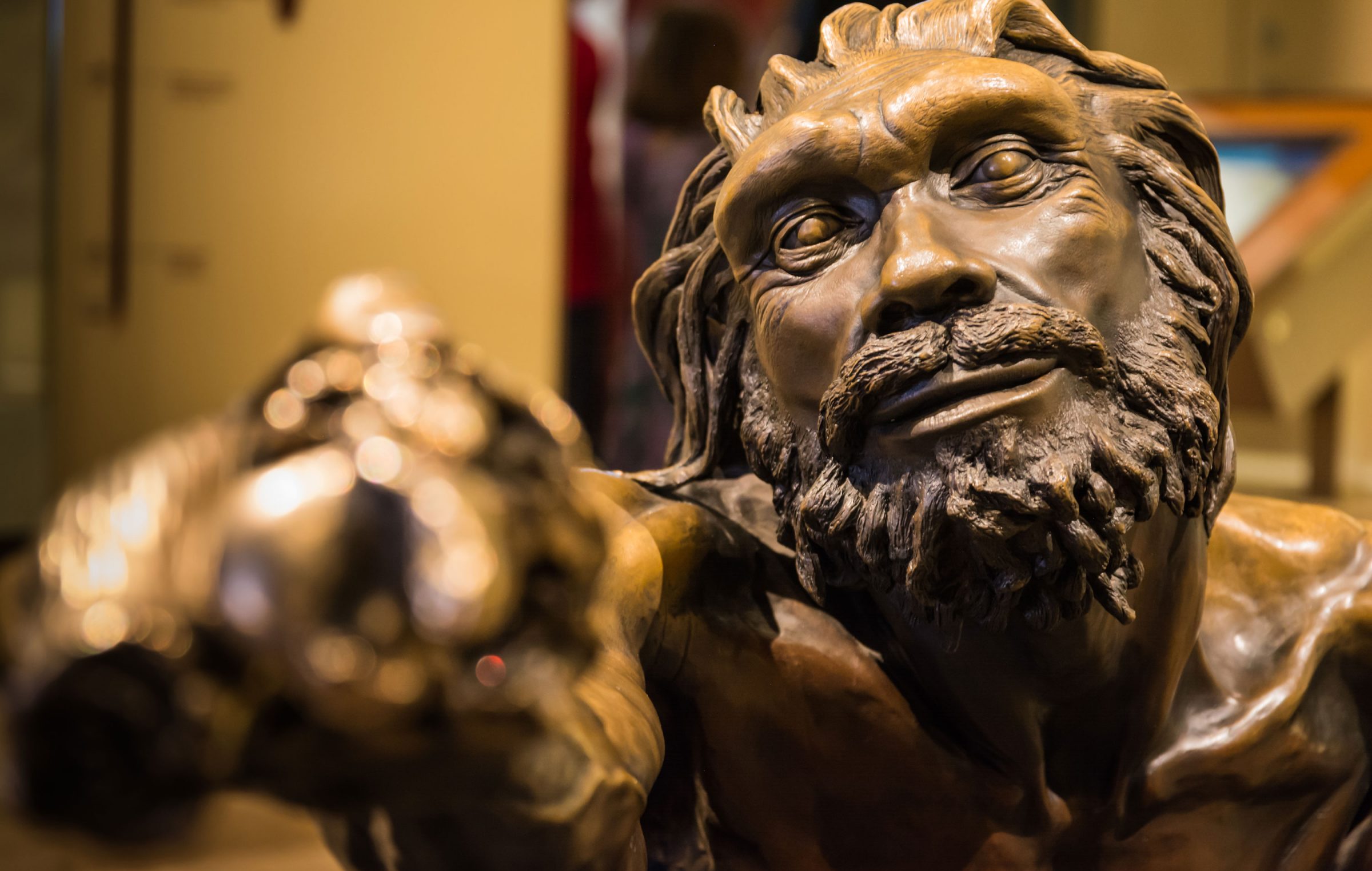 Neanderthalers – Informatie Begin