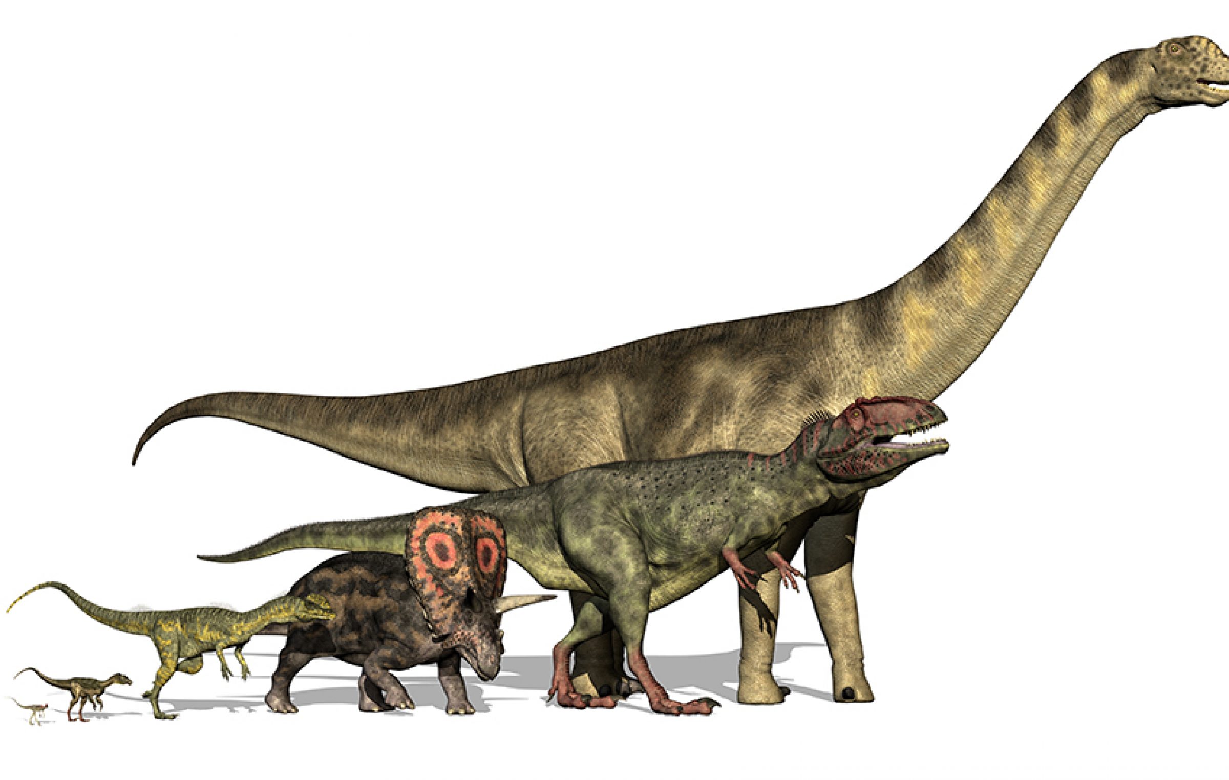 Carnotaurus – Informatie Begin