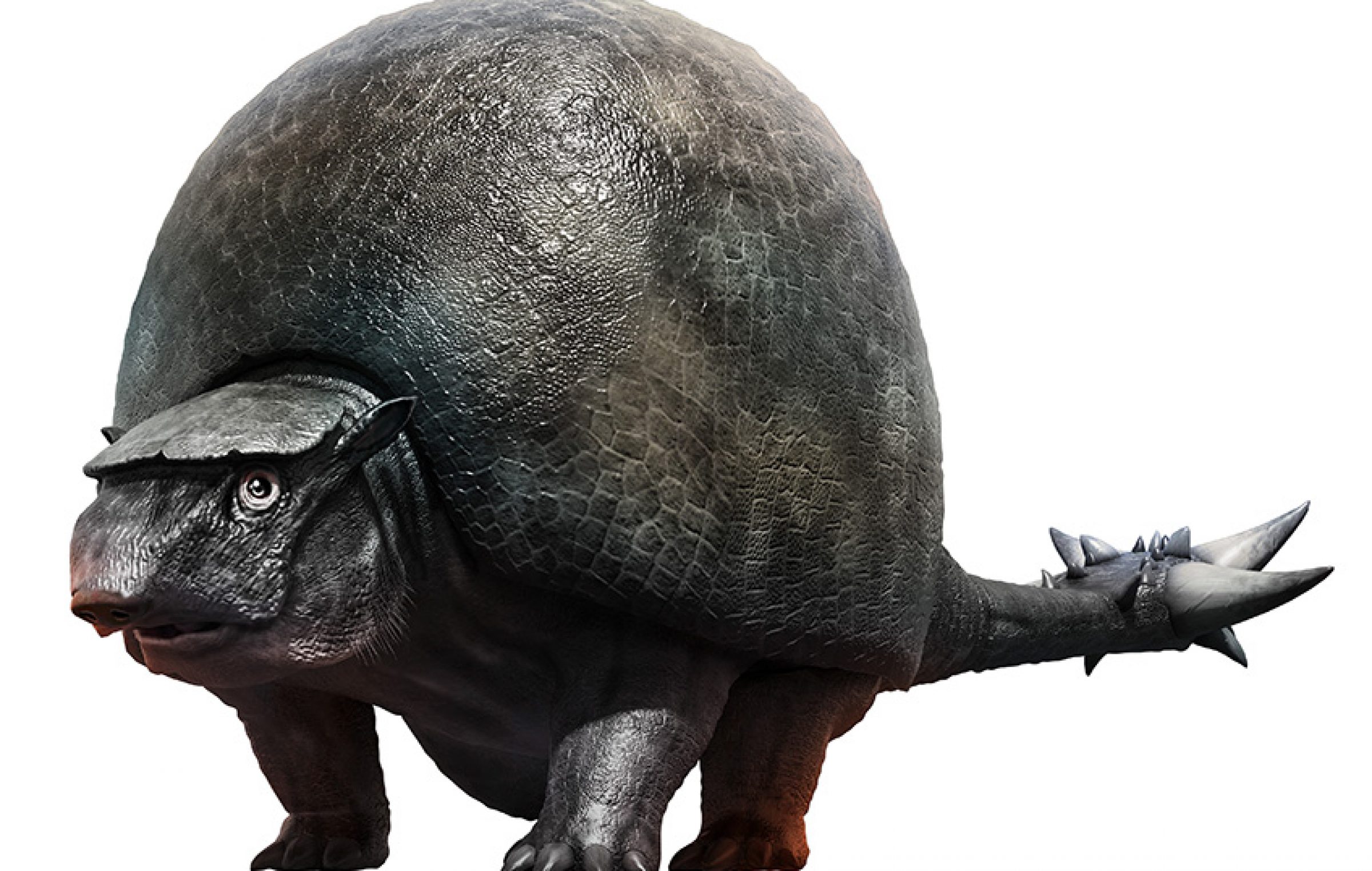 Doedicurus – Informatie Begin